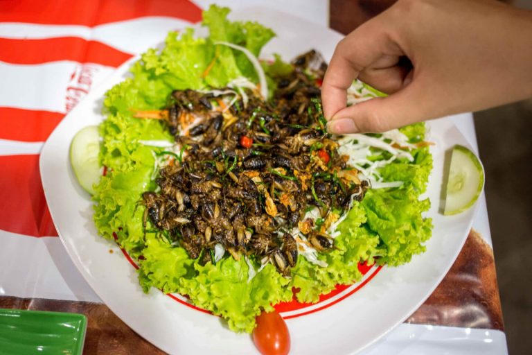 Top 10 Weird Food in Vietnam You Must Try: Bugs, Rats, Worms and Blood ...