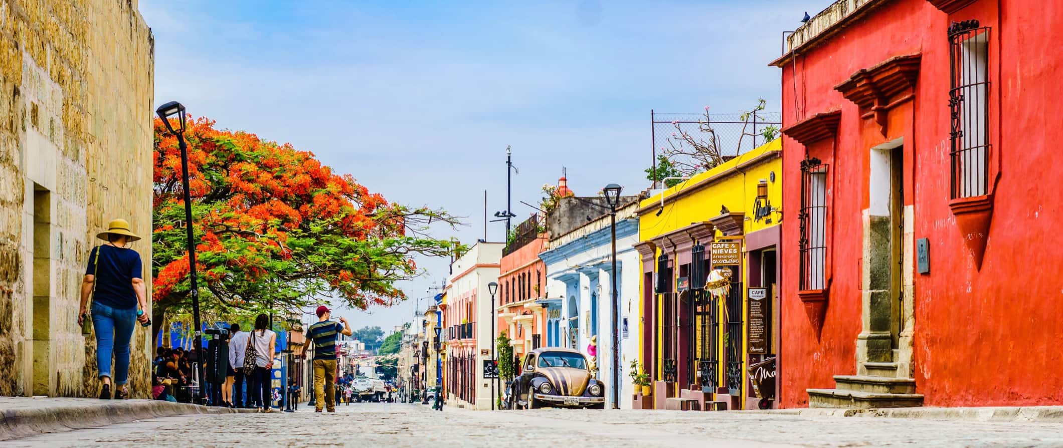 Oaxaca travel blog — 10+ photos that will make you want to visit Oaxaca ...