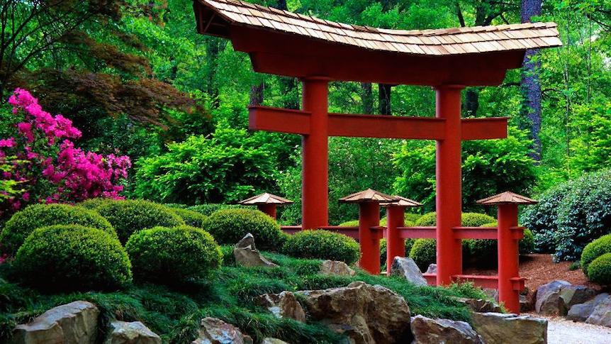 Japanese culture traditions — Explore 8 traditional Japanese cultural ...